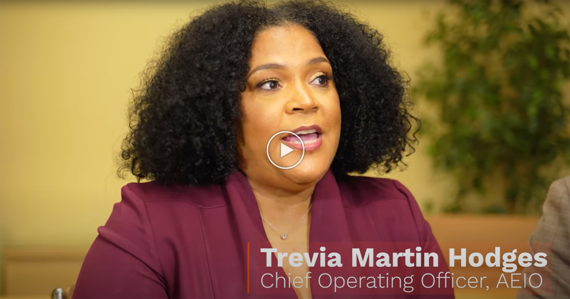 Program Management - AEIO